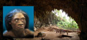 Homo Floresiensis: The Hobbit - The Human Journey