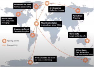 Tipping Points – The Riskiest Bet - The Human Journey