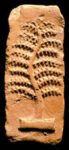 Indus-Sarasvati Civilization - The Human Journey