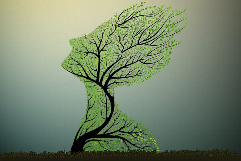 Meaning: The Enduring Gift to Spirit - The Human Journey